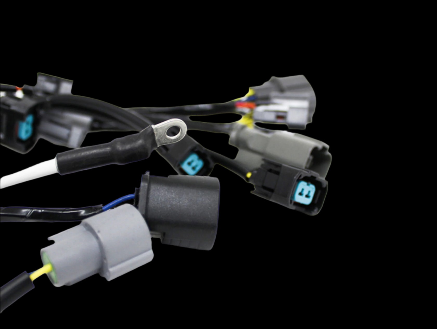 Rywire OEM Replacement Engine Harness - 92-95 Civic / 94-01 Integra ...