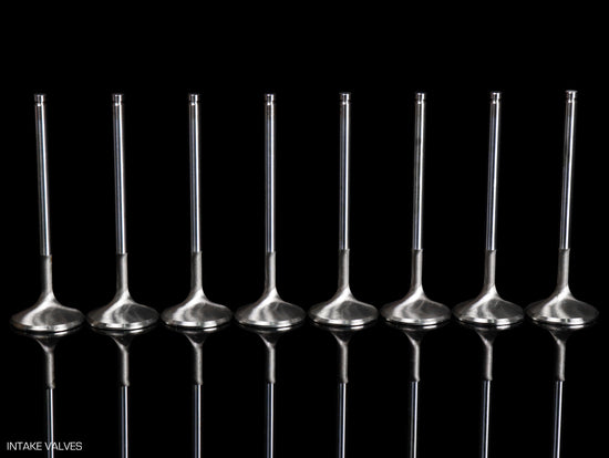 Ferrea Competition Plus B-Series Vtec Valves - JHPUSA